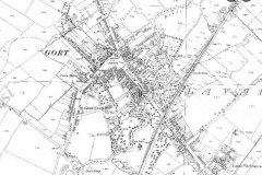 Gort Research Project 2017 – Irish Towns & Villages